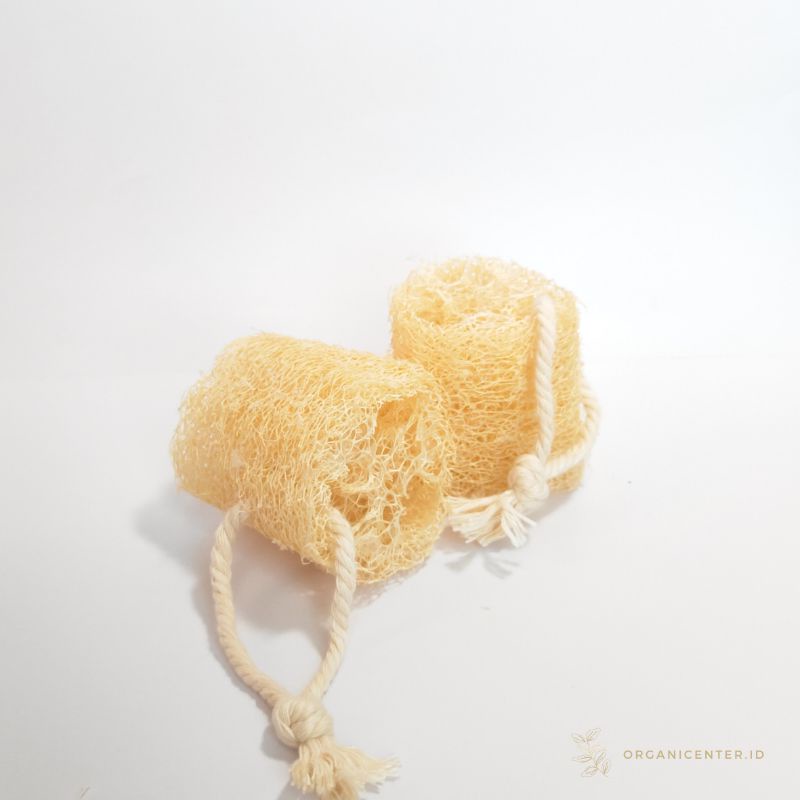Jual Loofah Sponge Mini / Spons Gambas Natural Alami / Spons Sabut Cuci ...