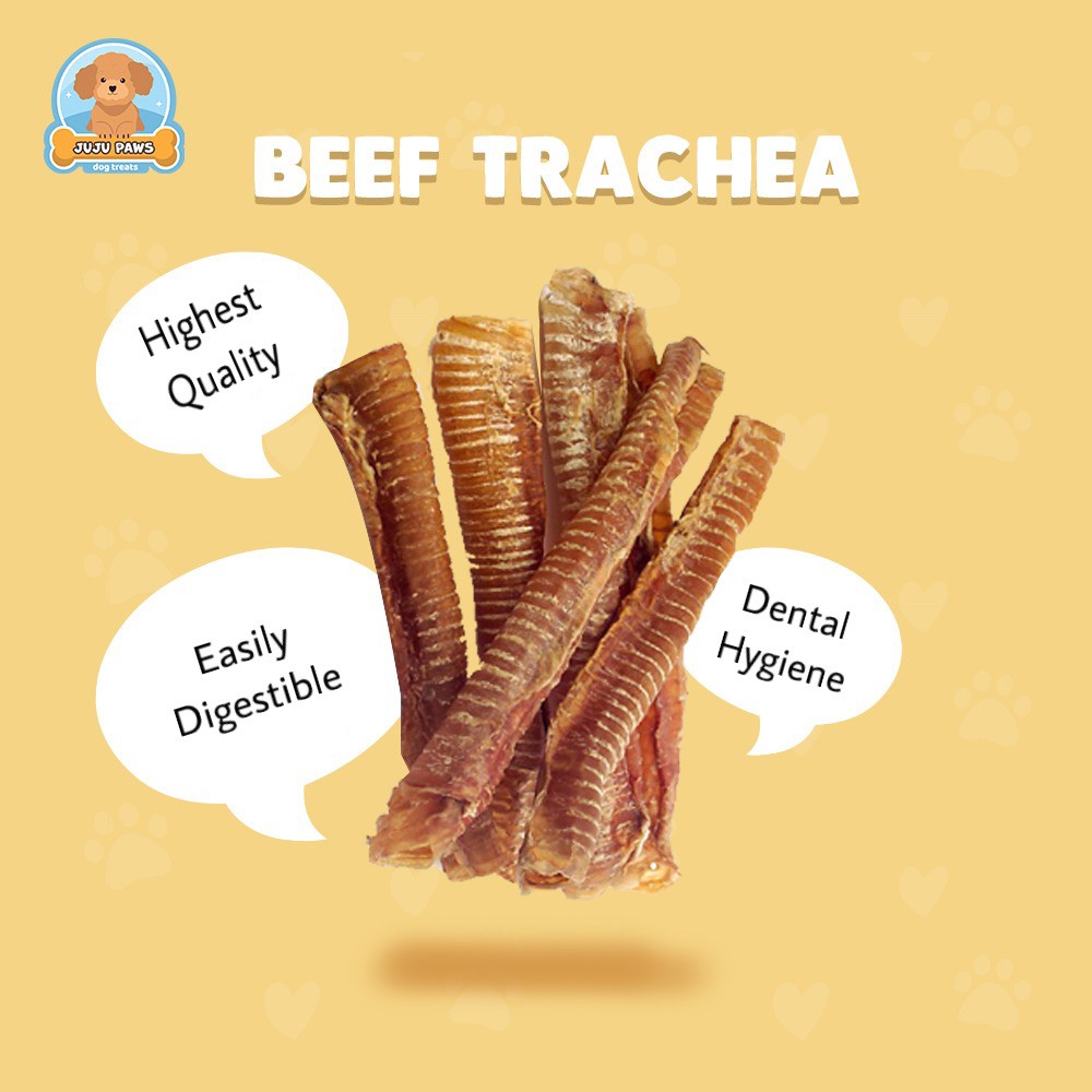 Jual Jujupaws Beef Trachea / Snack Batang Tenggorokan Sapi | Shopee ...
