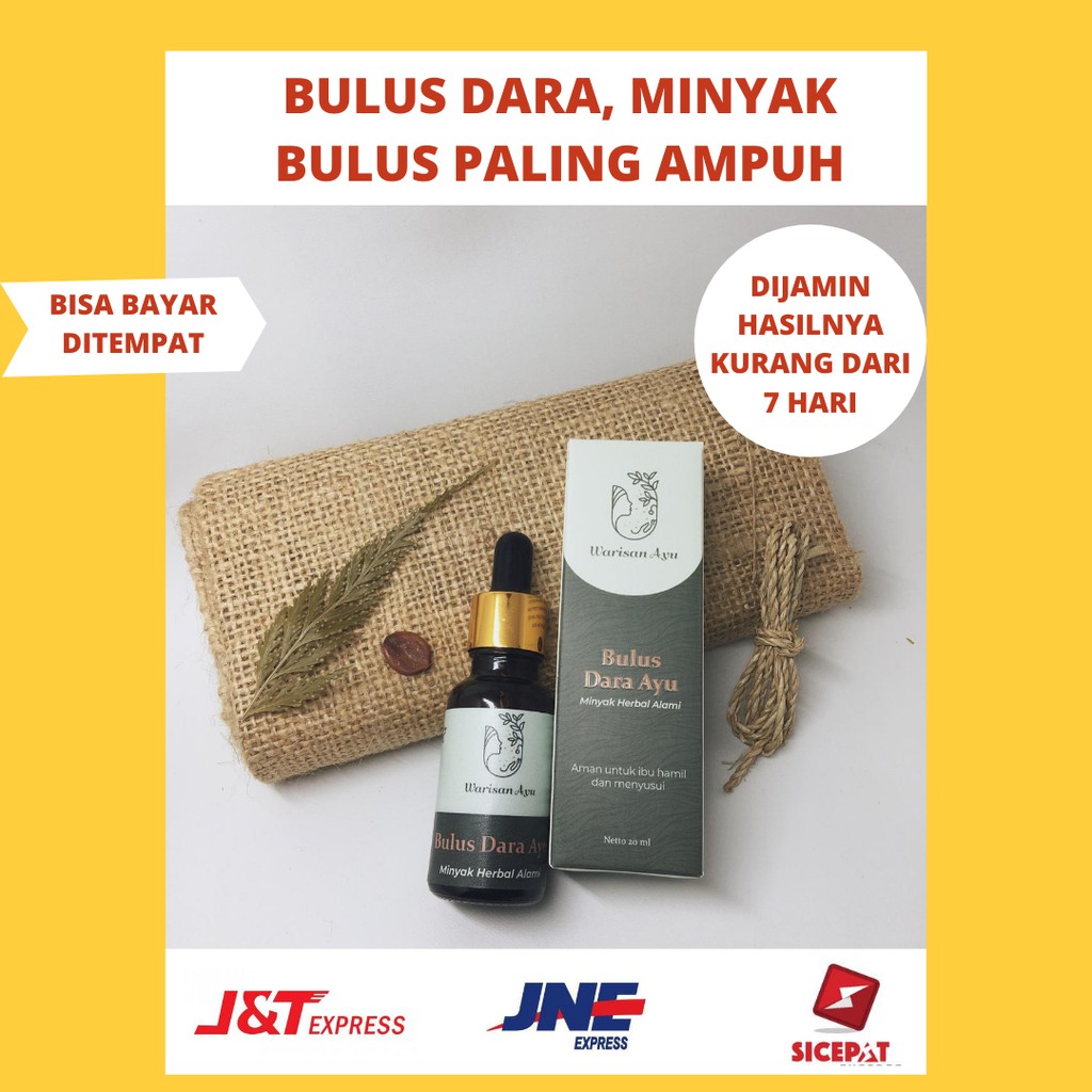 Jual Minyak Bulus Payudara Original (by warisan ayu) | Shopee Indonesia