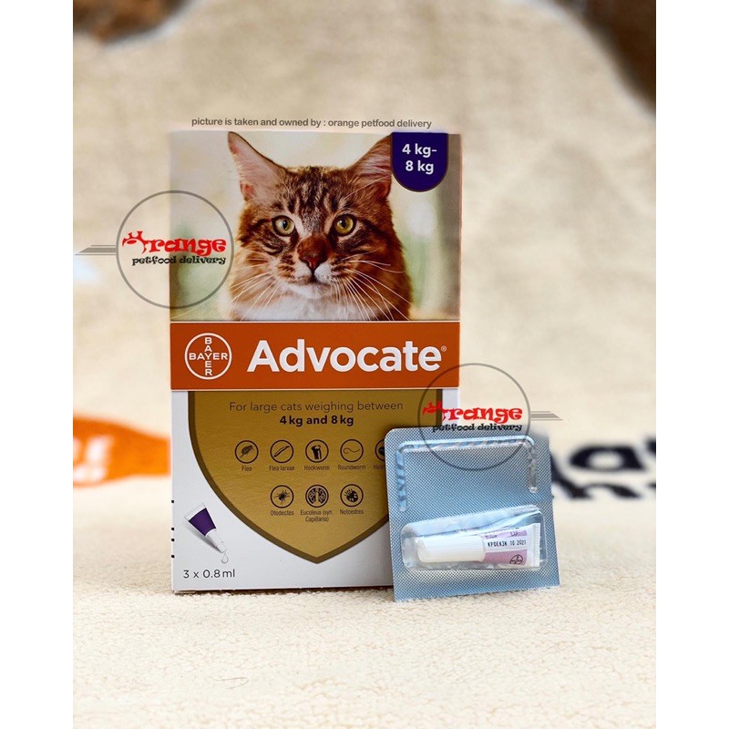 Jual Advocate Spot On for Large Cat 4-8 kg Flea and Tick Obat Kutu ...