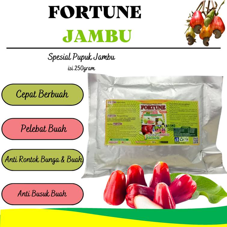 Jual Pupuk Buah Jambu Air, Nutrisi Alami Jambu Air Pupuk Organik Pelebat Jambu Perangsang Buah ...