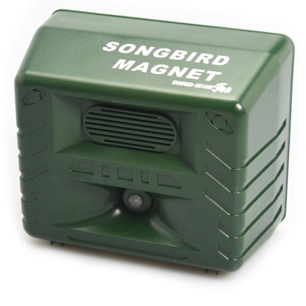 Jual Bird - X bird song magnet MURMER | Shopee Indonesia
