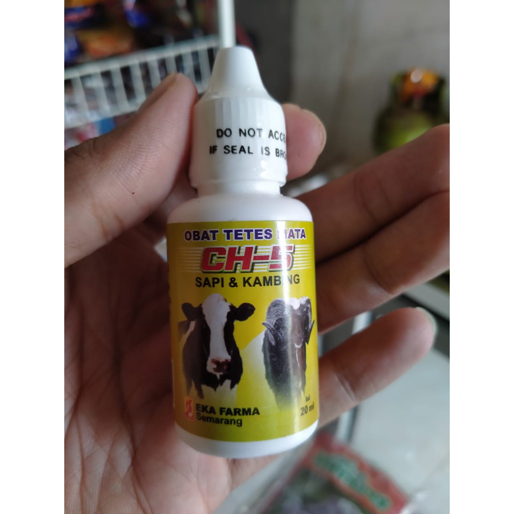 Jual CH-5 Obat Tetes Mata Sapi Kambing (20 ml) | Shopee Indonesia