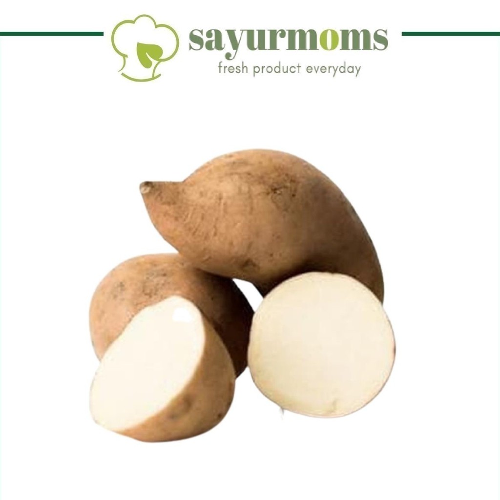 Jual Ubi Putih 1 kg Surabaya | Shopee Indonesia