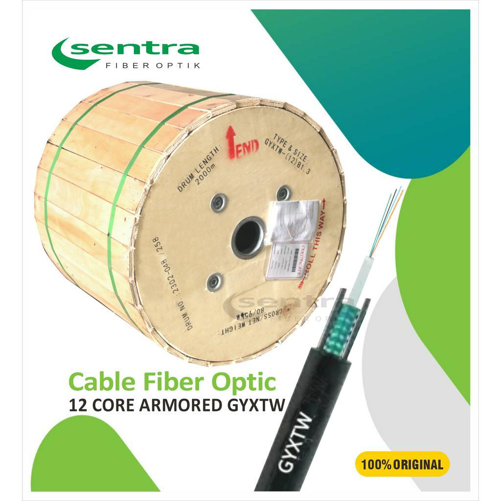 Jual Kabel Fiber Optik FO 12 Core GYXTW Armoured fiber optic Falcom ...