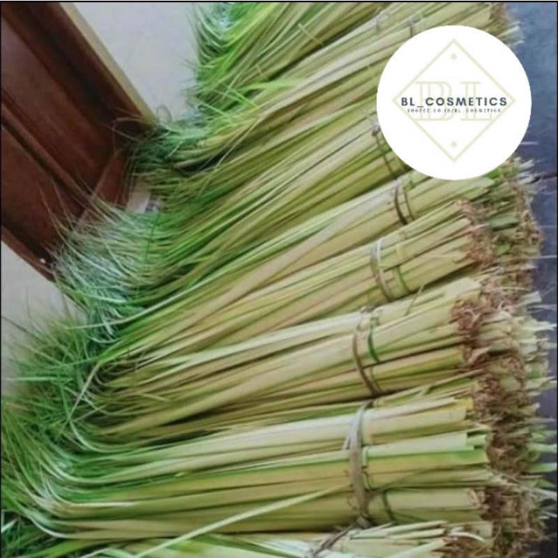 Jual Busung bali / janur kuning | Shopee Indonesia