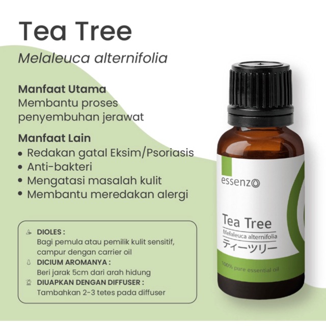 Jual Original 100% - Essenzo Tea Tree Essential Oil 20 ml | Shopee Indonesia