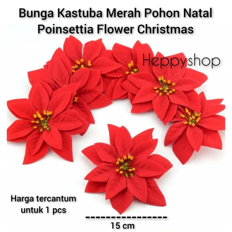 Jual Bunga Kastuba Poinsettia Pohon Natal Flower Christmas | Shopee ...