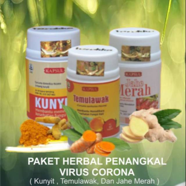 Jual Paket herbal penangkal virus corona original kapsul kunyit kapsul ...