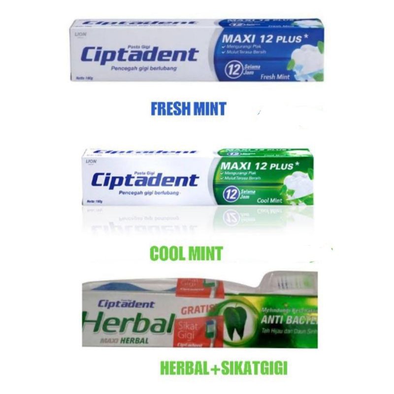 Jual CIPTADENT MAXI 12 PLUS COOL MINT DAN FRESH MINT DAN HERBAL 190 ...