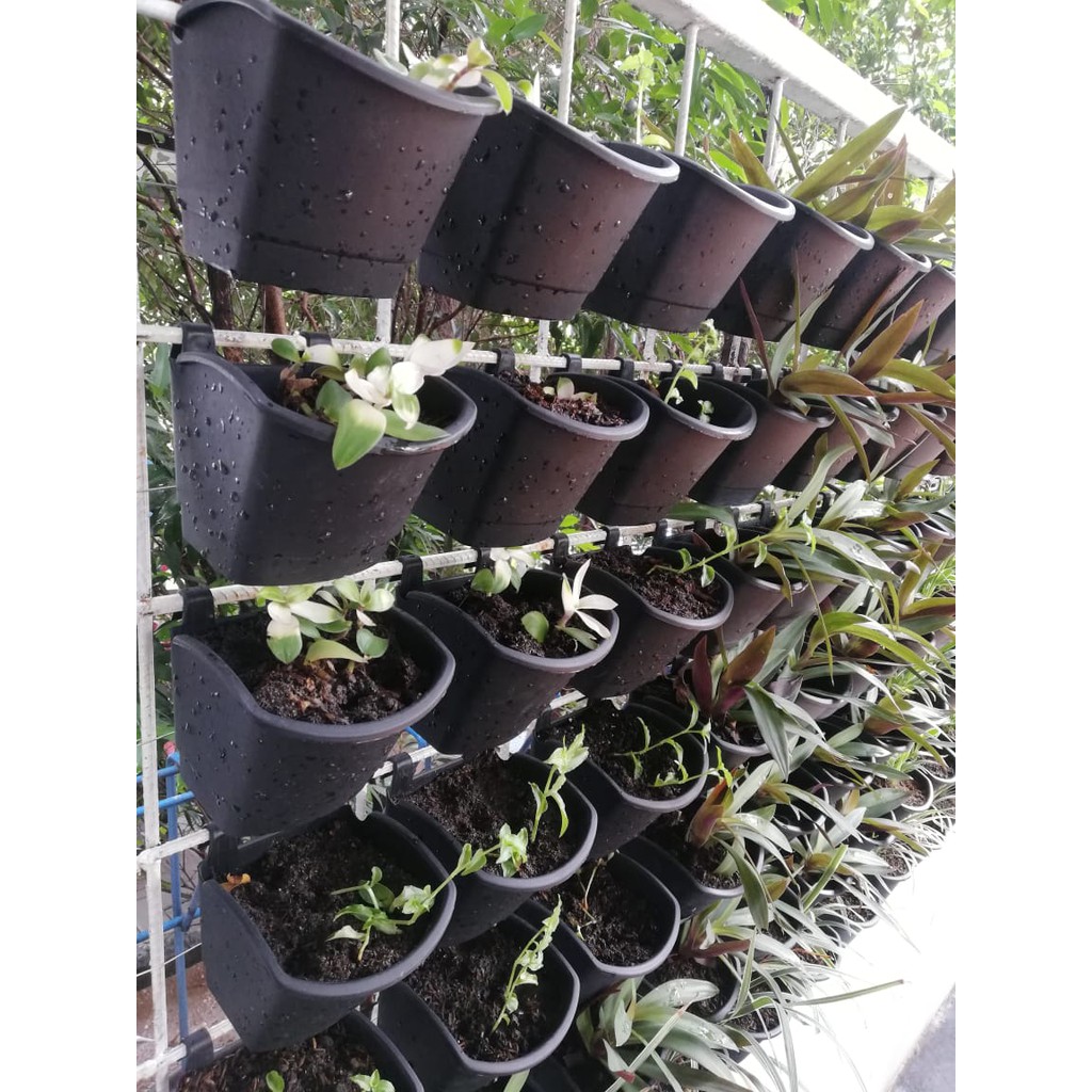 Jual Pot Tempel Dinding Tanaman Merambat SSA Hitam | Shopee Indonesia