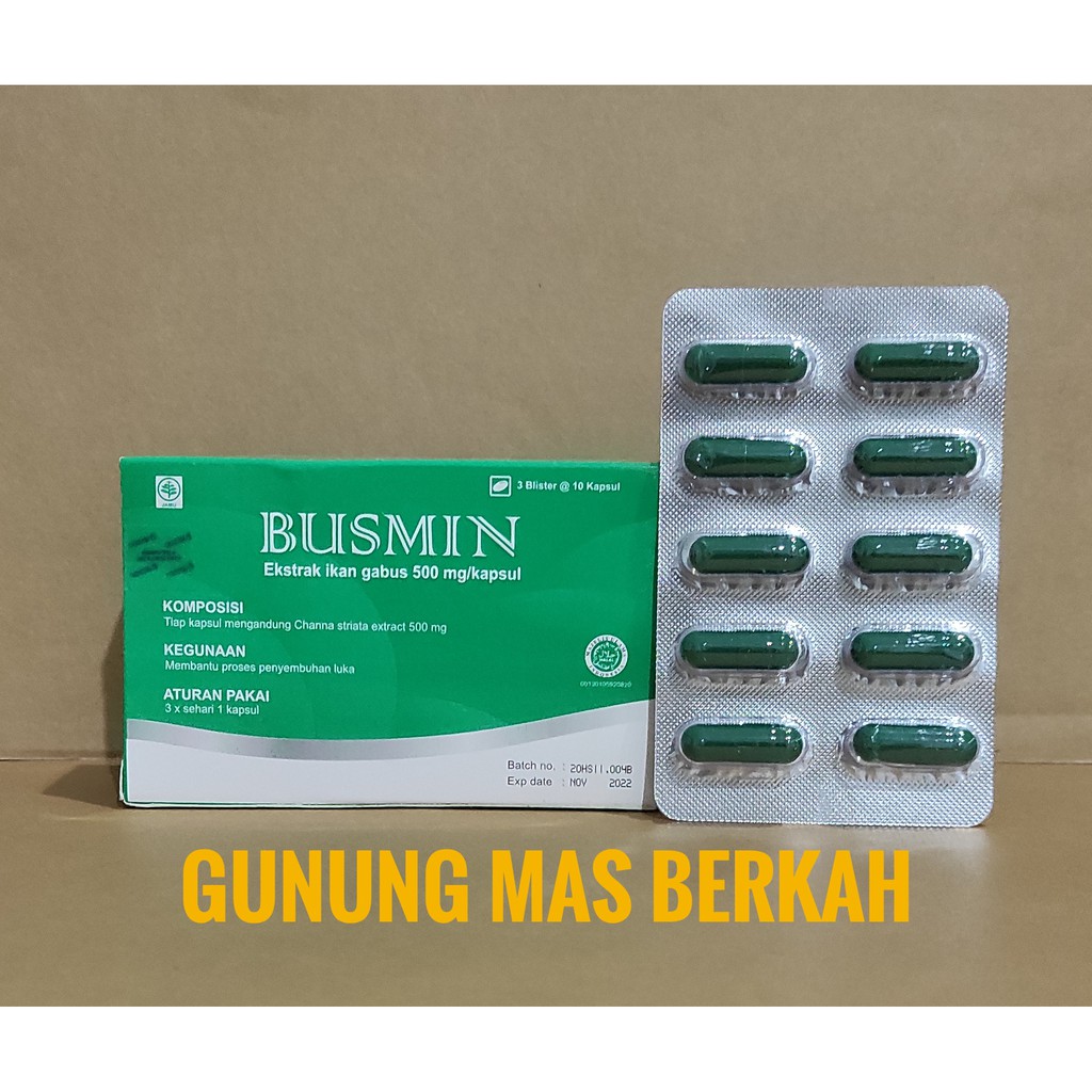 Jual BUSMIN 500mg Busmin Kapsul - Ekstrak Ikan Gabus untuk mempercepat penyembuhan lukaa ...