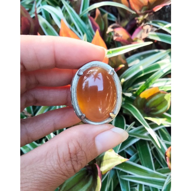 Jual bacan obi | Shopee Indonesia