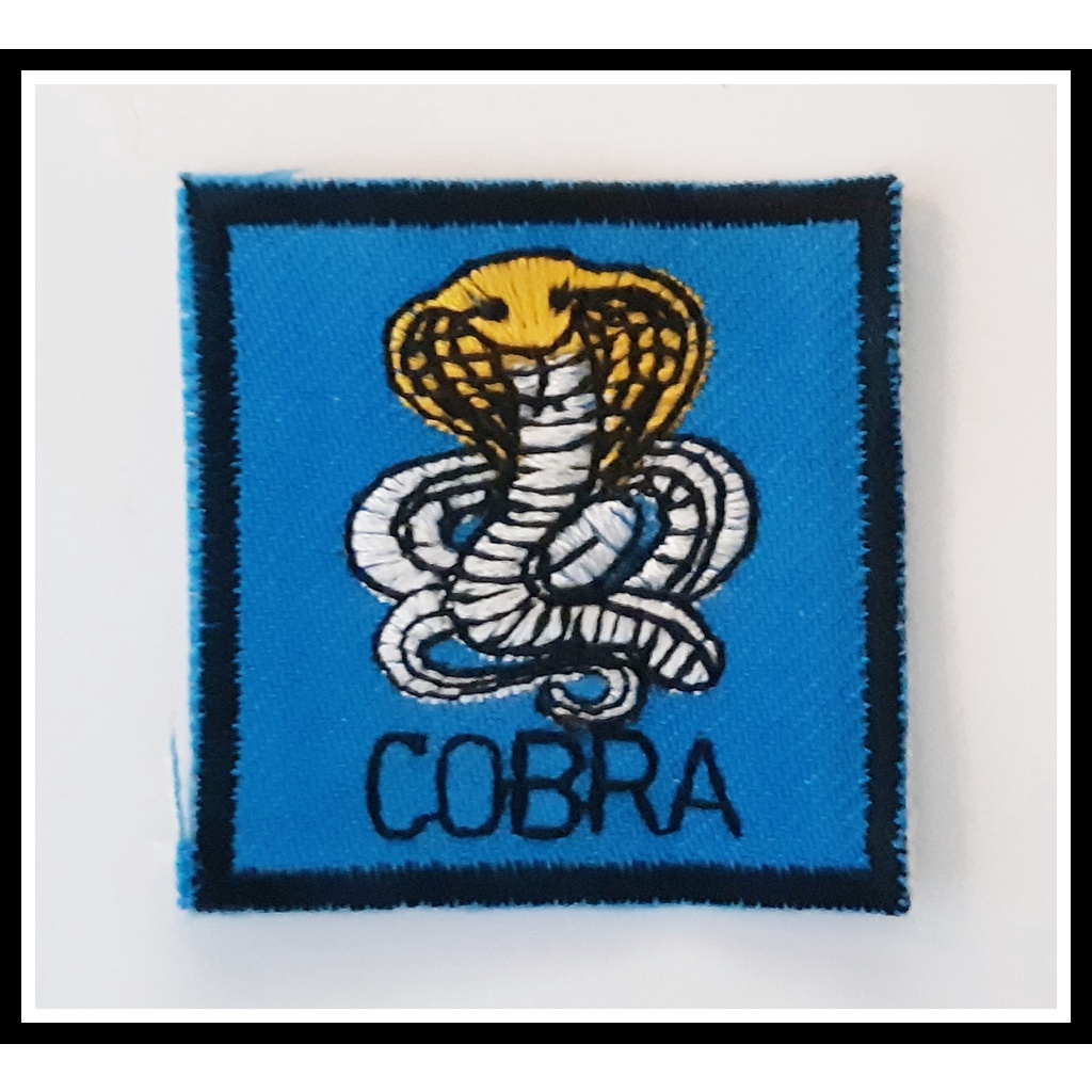 Jual Badge + Bendera Regu Pramuka Penggalang Putra [set] | Shopee Indonesia