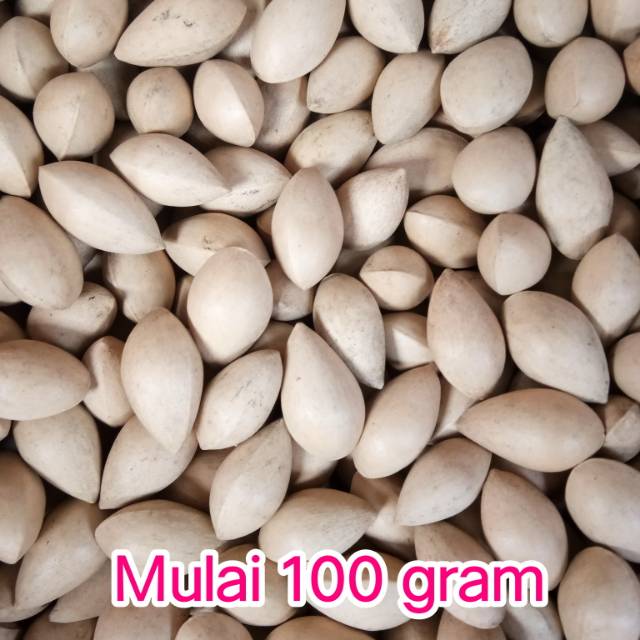 Jual Kacang gingko nut bai guo / pekko pekkoi | Shopee Indonesia