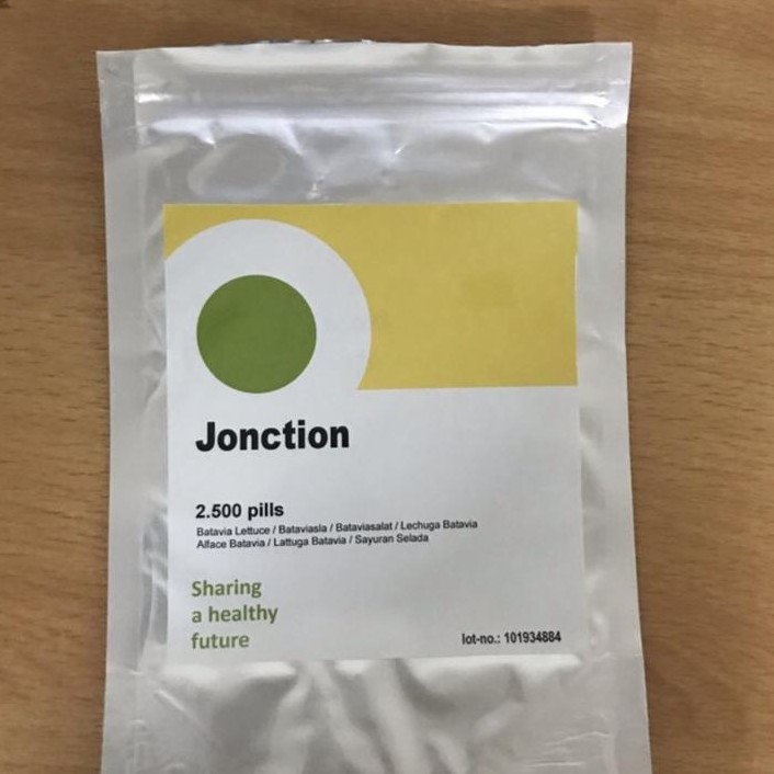 Jual 2500 seed - Benih Jonction RZ Batavia Lettuce Jonction Rijk Zwaan ...