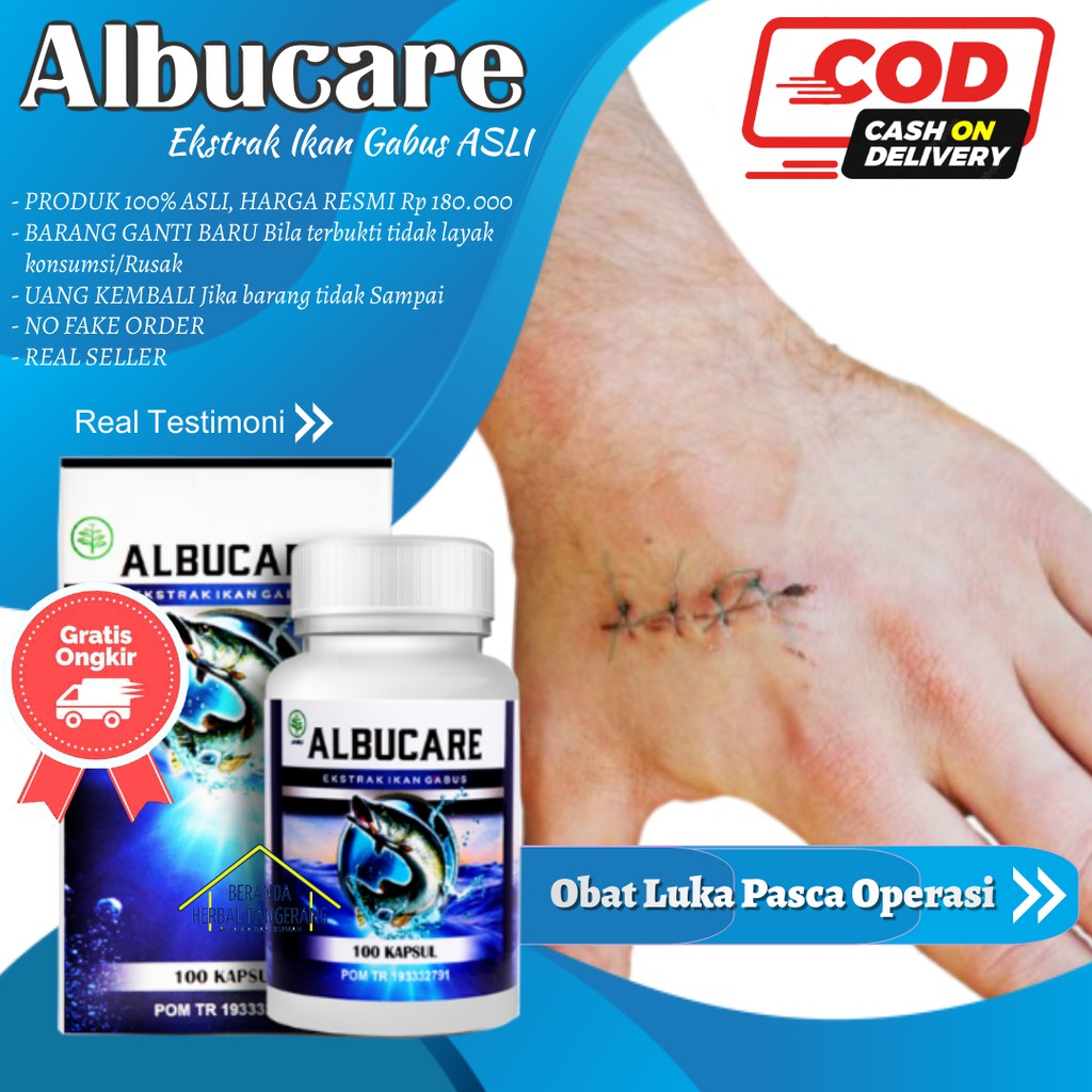 Jual KAPSUL KUTUK PREMIUM 5x Cepat Sembuh Pasca Operasi - Ekstrak Albumin Ikan Gabus ( Albucare ...