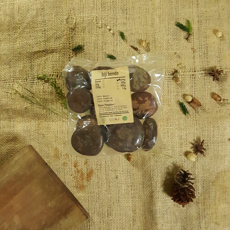 Jual BIJI BENDO 250 GRAM - Artocarpus elasticus - MURNI - JSR - REMPAH ...