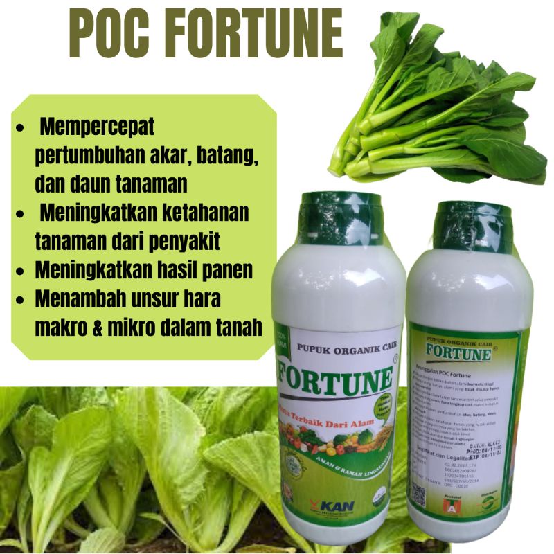 Jual Pupuk Untuk Mempercepat Pertumbuhan Akar, Batang, Dan Daun Sawi ...