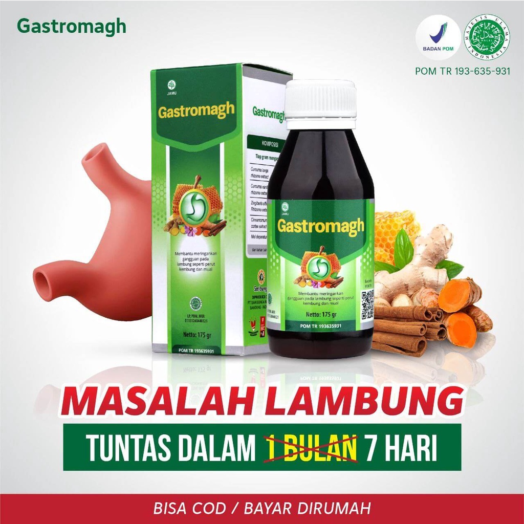 Jual Gastromagh - Madu Lambung 3x Lebih Efektif Atasi Masalah Asam ...