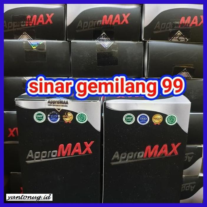 Jual Program-Negara- Appromax Appro Max Herbal Sehat Pria Original ...