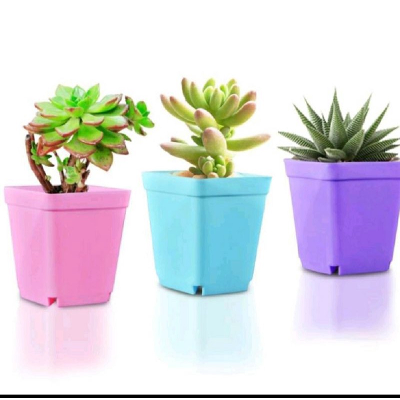Jual Pot Mini Kotak 7CM Rainbow Pastel Series Persegi Mini Pot Kaktus ...