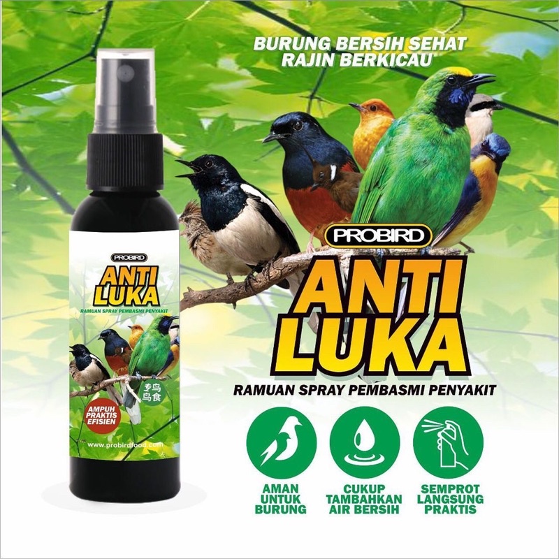 Jual probird anti luka antiluka obat luka burung berkicau | Shopee ...