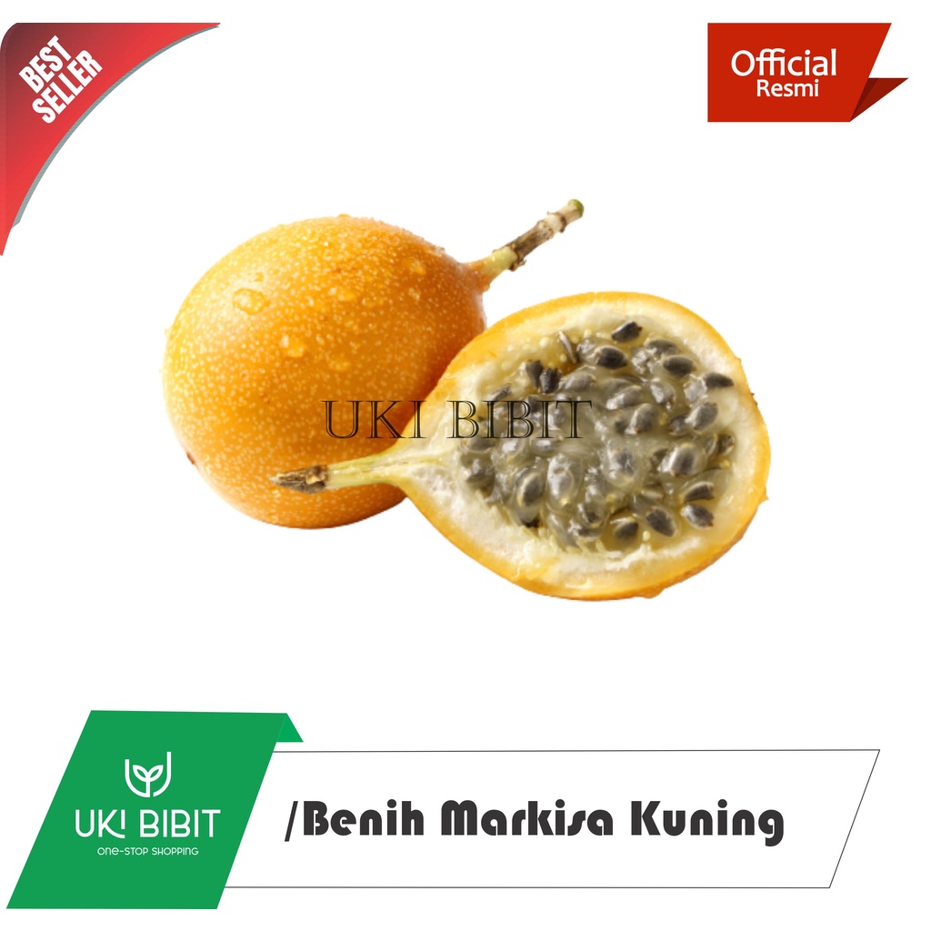 Jual ( 10 Butir ) Benih Biji Buah Markisa Kuning Biji Siap semai | Shopee Indonesia