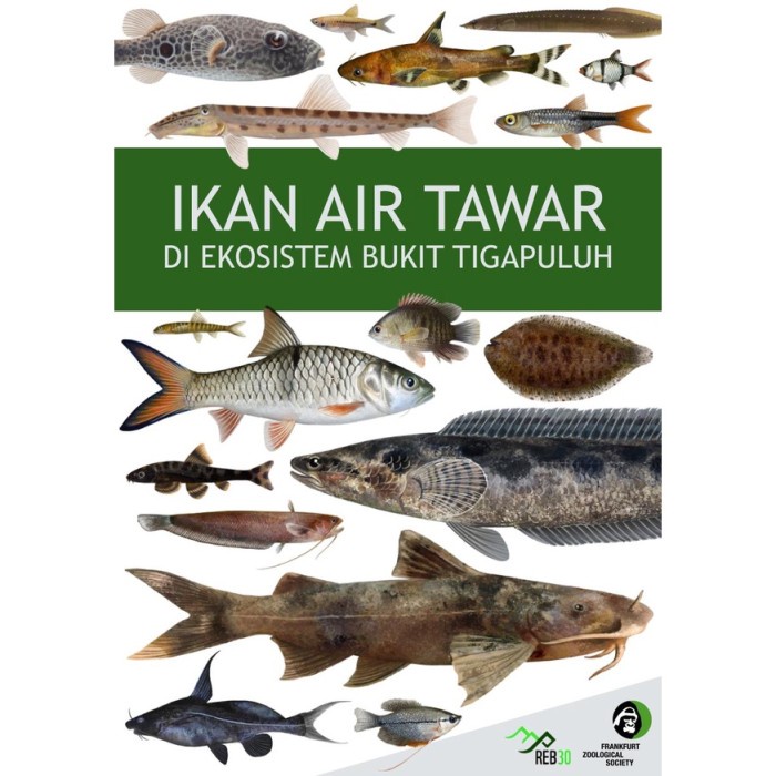 Jual Buku Ikan Air Tawar Di Ekosistem Bukit Tigapuluh Shopee Indonesia