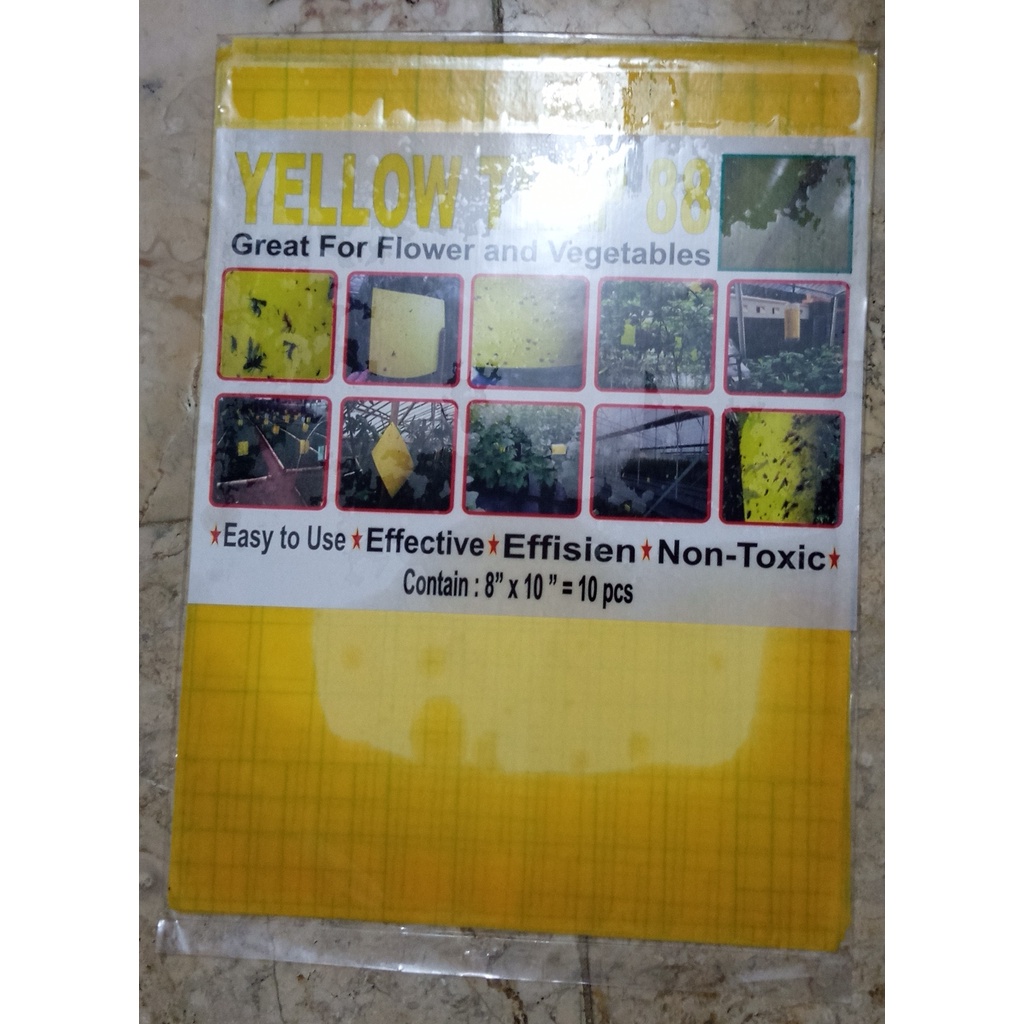 Jual Kertas Kuning Perangkap Hama Kutu Serangga Tanaman Yellow Paper ...