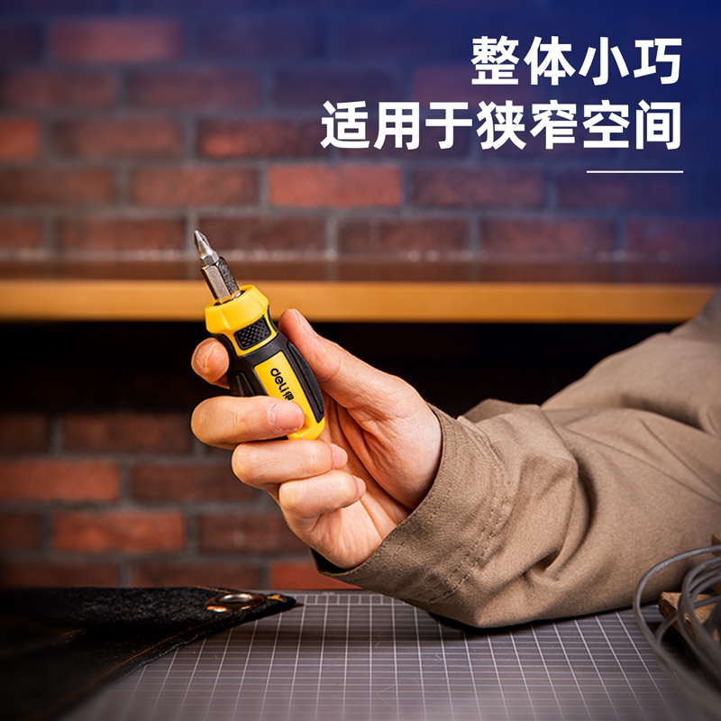 Jual Deli Screwdriver Set / Set obeng mini dua sisi DL260106 | Shopee ...