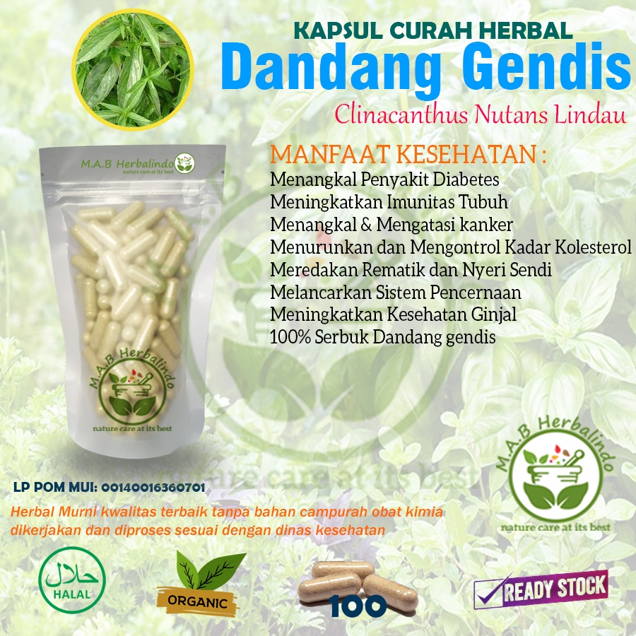 Jual DANDANG GENDIS 100 Kapsul Herbal Diabetes Kolesterol Ginjal ...