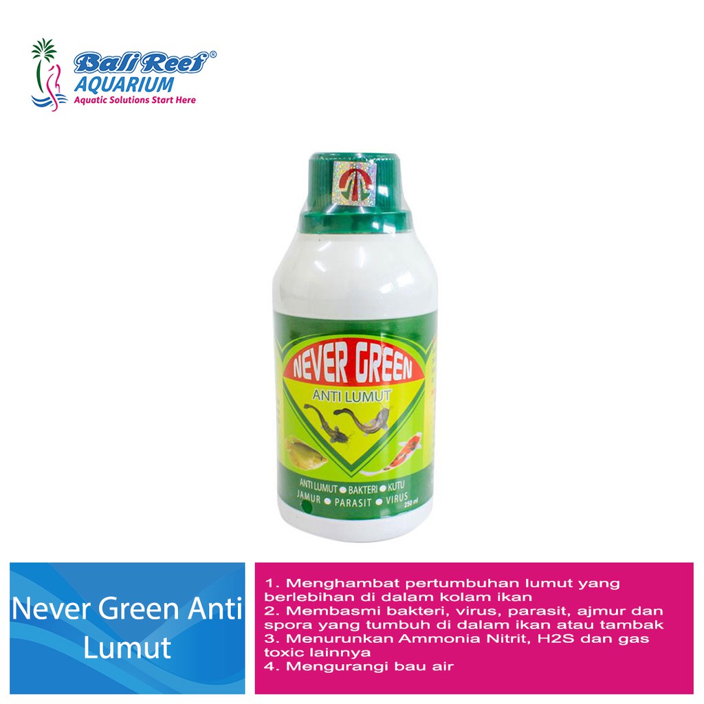 Jual Tamasindo Never Green Obat Anti Lumut 250 ML | Shopee Indonesia