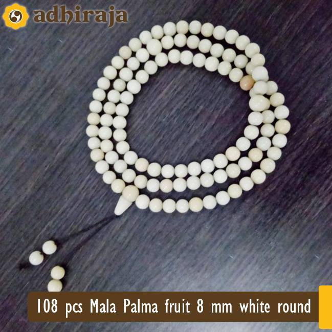 Jual Tasbih atau Mala Buddha 108 pcs Mala Palma fruit 8mm & 10 mm ...