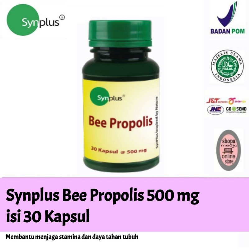 Jual Synplus Bee Propolis ( isi 30 Kapsul ) | Shopee Indonesia