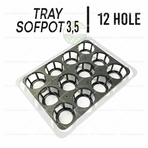 Jual trai anggrek ukuran softpot 15 isi 12pcs | Shopee Indonesia