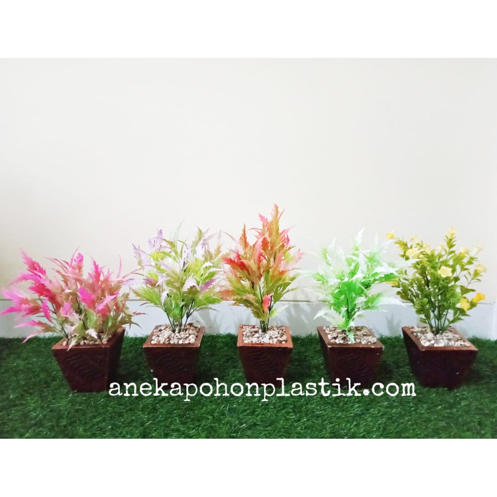 Jual Tanaman Hias Variasi Daun Vas Kayu Tembaga Mini Tanaman Artificial ...