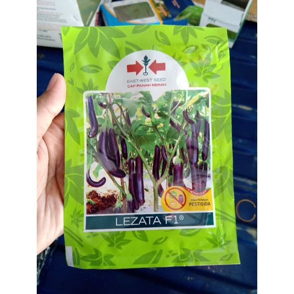 Jual Benih Terong Ungu Panjang Cap Panah Merah LEZATA F1 1.100 butir | Shopee Indonesia