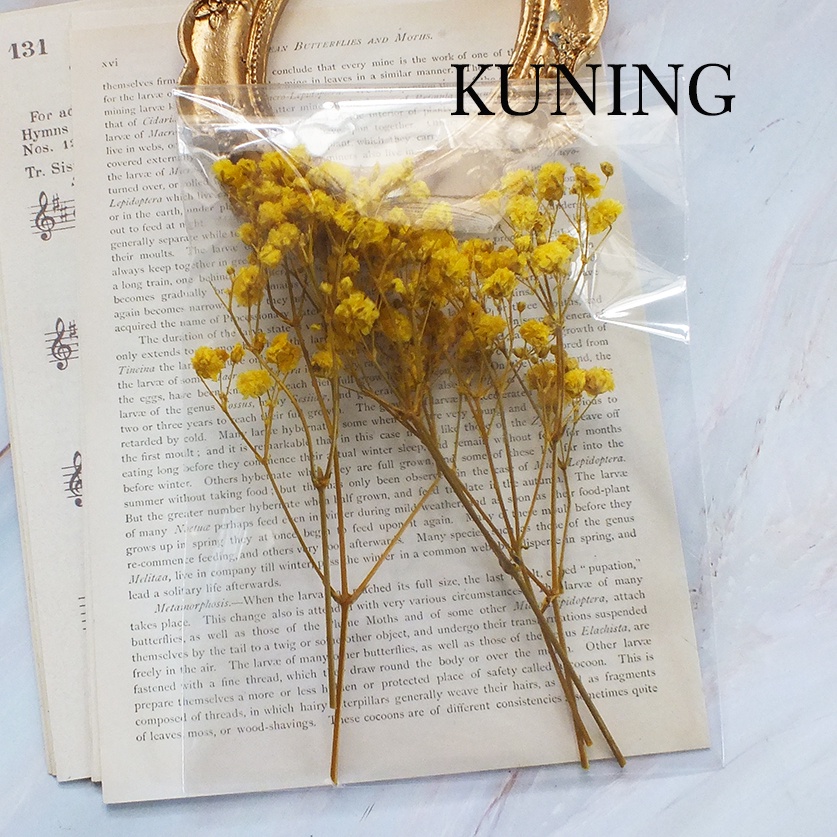 Jual Mini Dried Flower Baby's Breath dengan Tangkai Bunga Kering Asli ...