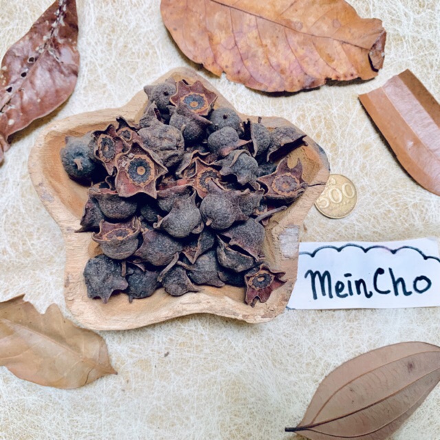 Jual (100gr/200biji) Kolase Biji Horenjang Bunga Bel Bunga Lonceng ...