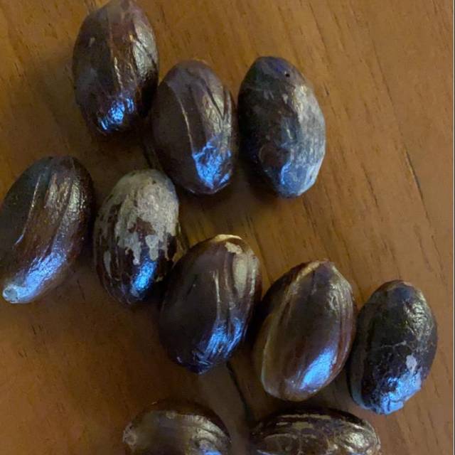 Jual Pala Lonjong / Pala kulit asal Papua dapat 1kg. Paling Murah ...