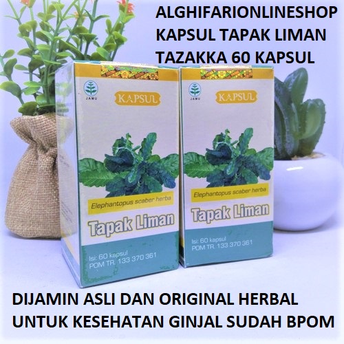 Jual Kapsul Tapak Liman ORIGINAL Tazakka 60 KAPSUL HERBAL KESEHATAN ...