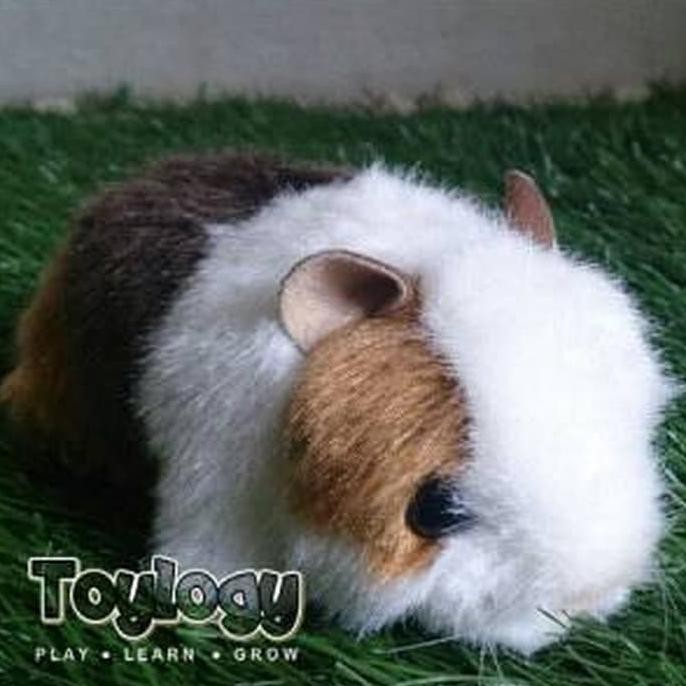 Jual Teddy Guinea Pig Doll ( Boneka Marmut Teddy ) - 7 inch | Shopee ...