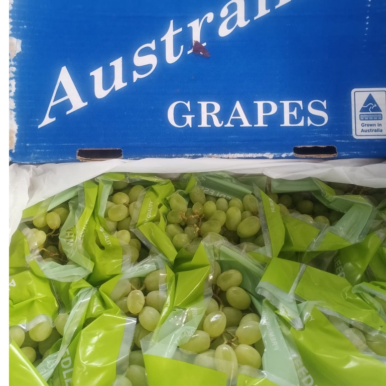 Jual Buah Anggur hijau thomson australia 1 BOX | Shopee Indonesia
