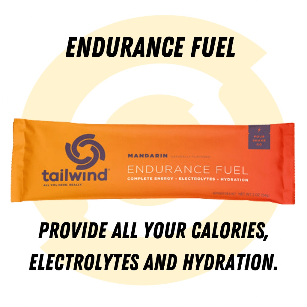 Jual TAILWIND NUTRITION Endurance Fuel Energy Drink Mandarin Orange ...