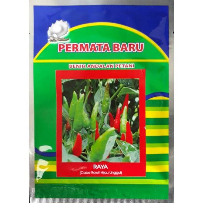 Jual Benih cabe rawit Hijau "RAYA" | Shopee Indonesia