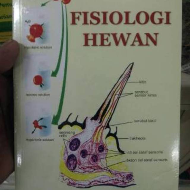Jual Buku Fisiologi Hewan Original Wiwi Isnaeni | Shopee Indonesia