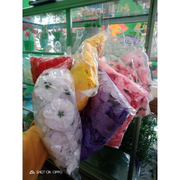 Jual bunga suyok | Shopee Indonesia