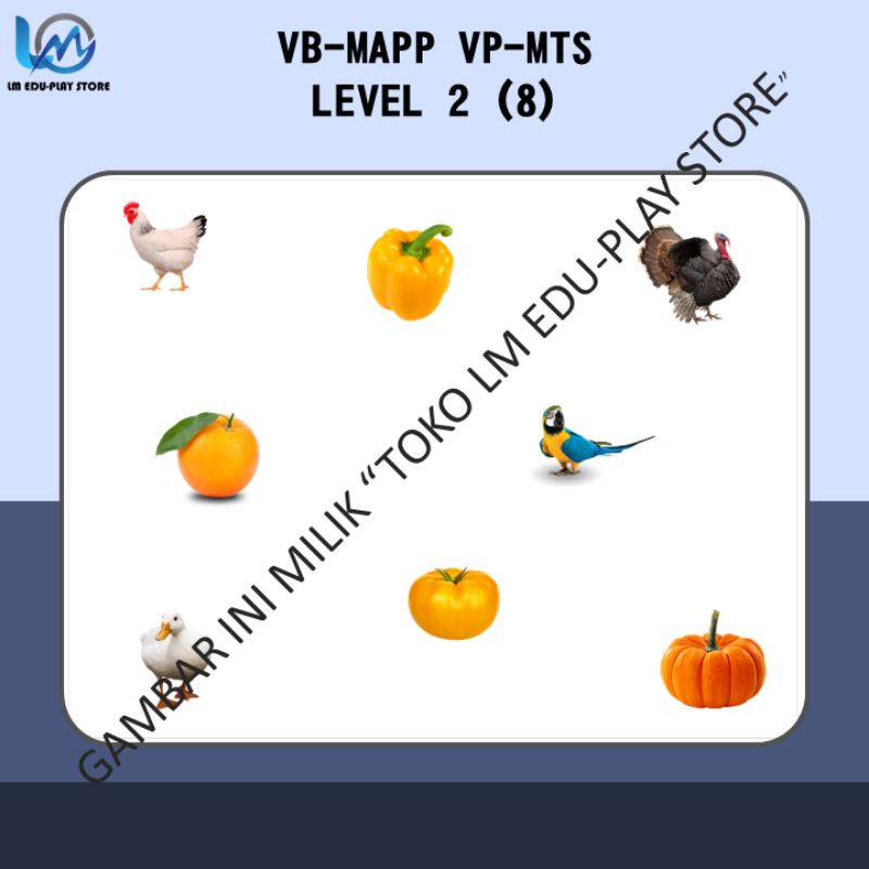 Jual Flashcard ABA VB-MAPP VP-MTS Level 2 (8) IP | Shopee Indonesia