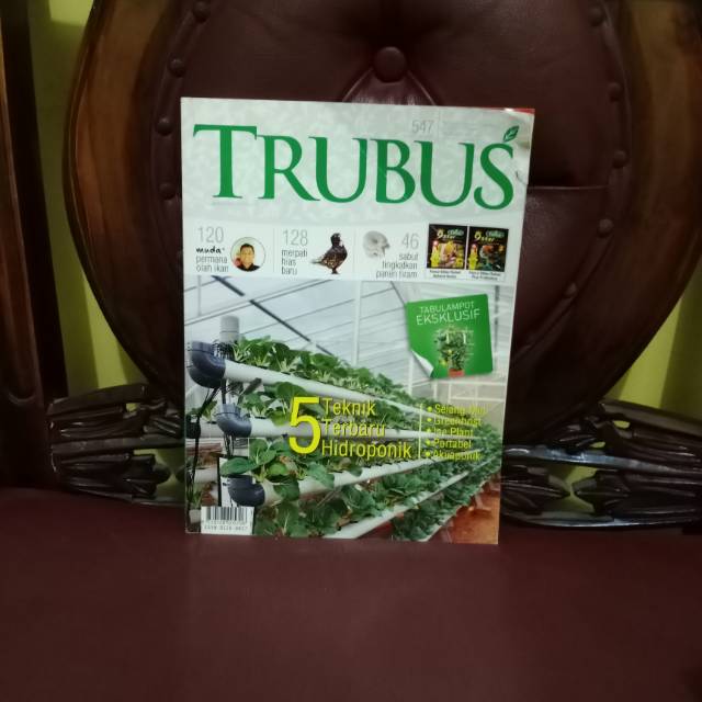 Jual Majalah Trubus Edisi Juni 2015 - 5 Teknik Terbaru Hidroponik ...